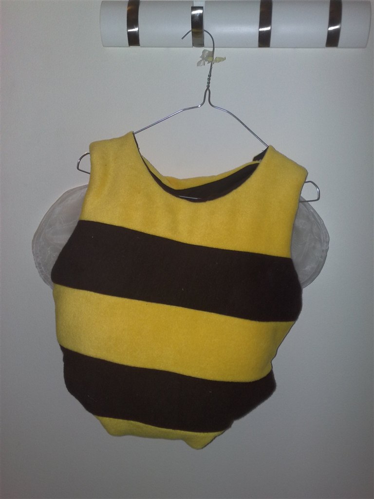 Sjove fastelavns kostumer :-)